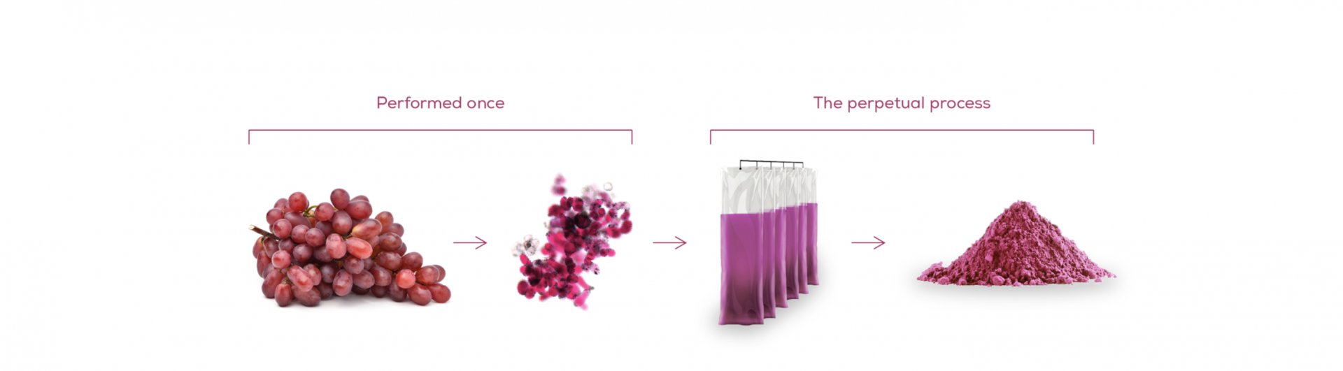 Technology - BioHarvest Sciences