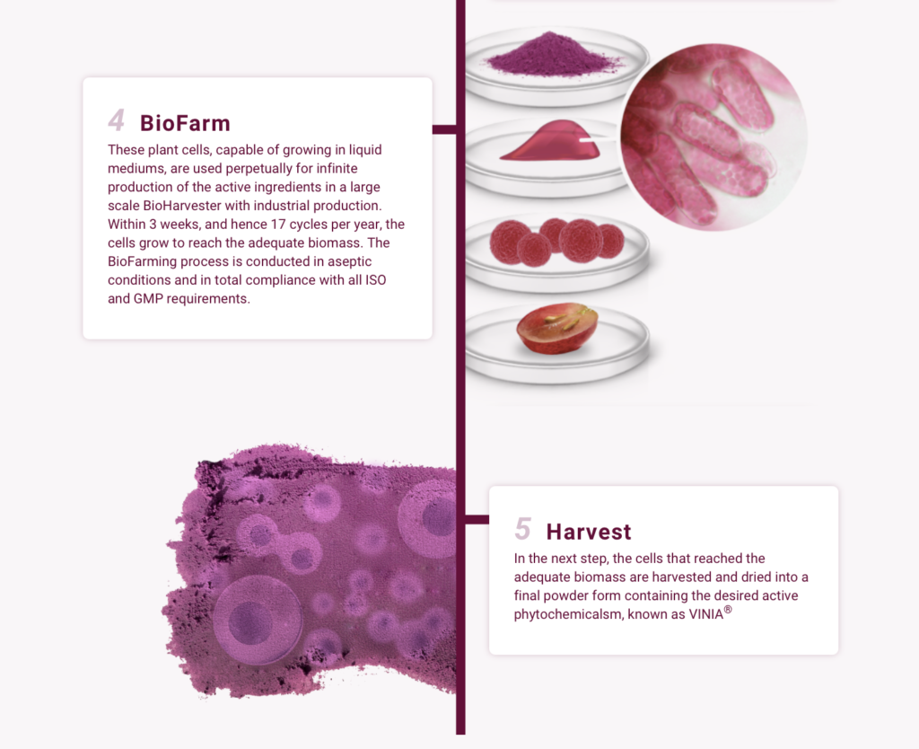 Sustainability - BioHarvest Sciences