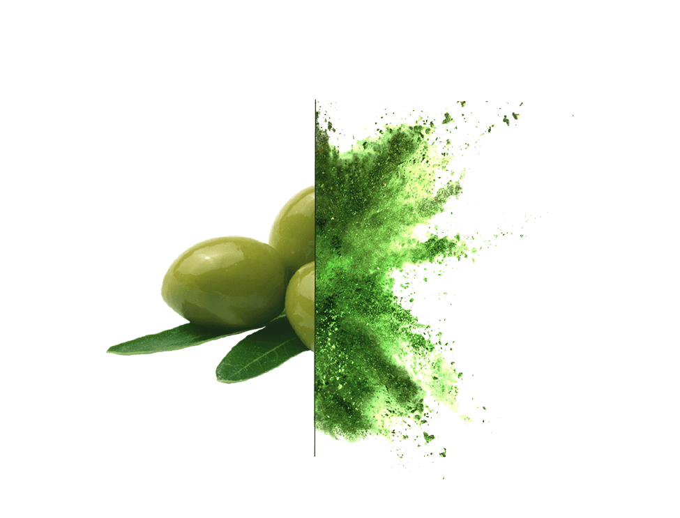 Home - BioHarvest Sciences