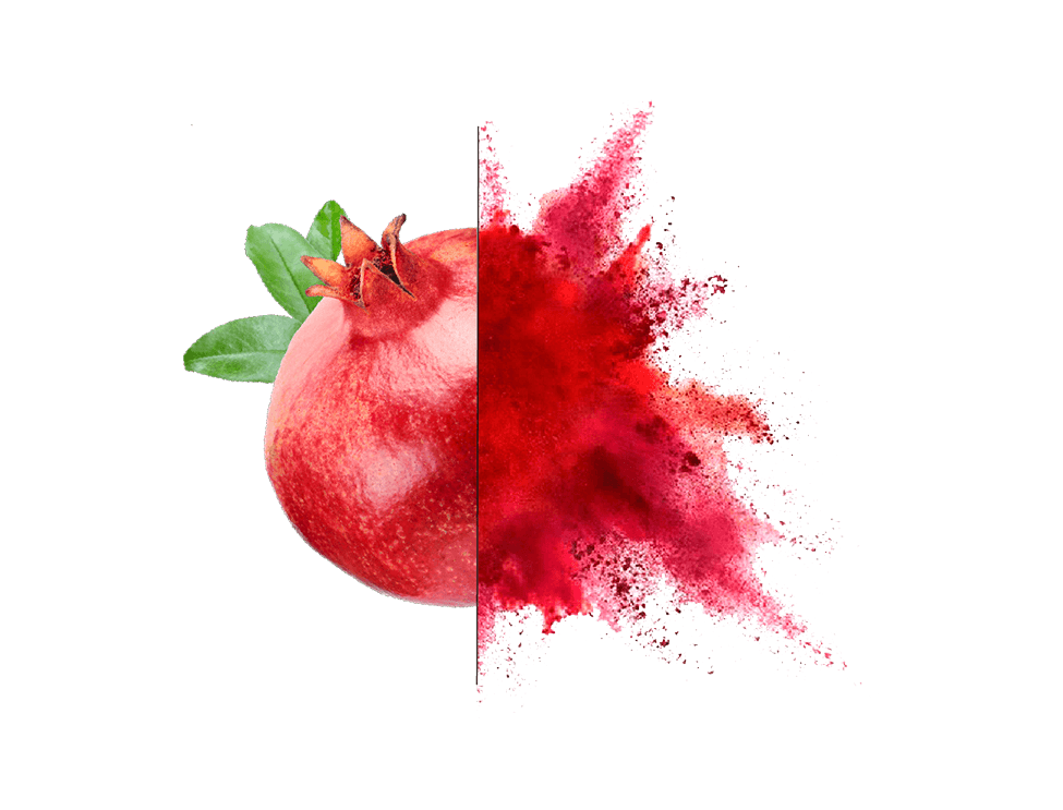 BioHarvest Sciences - The Plant Cell Growth Company