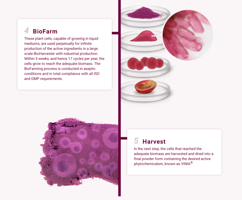 Sustainability - BioHarvest Sciences