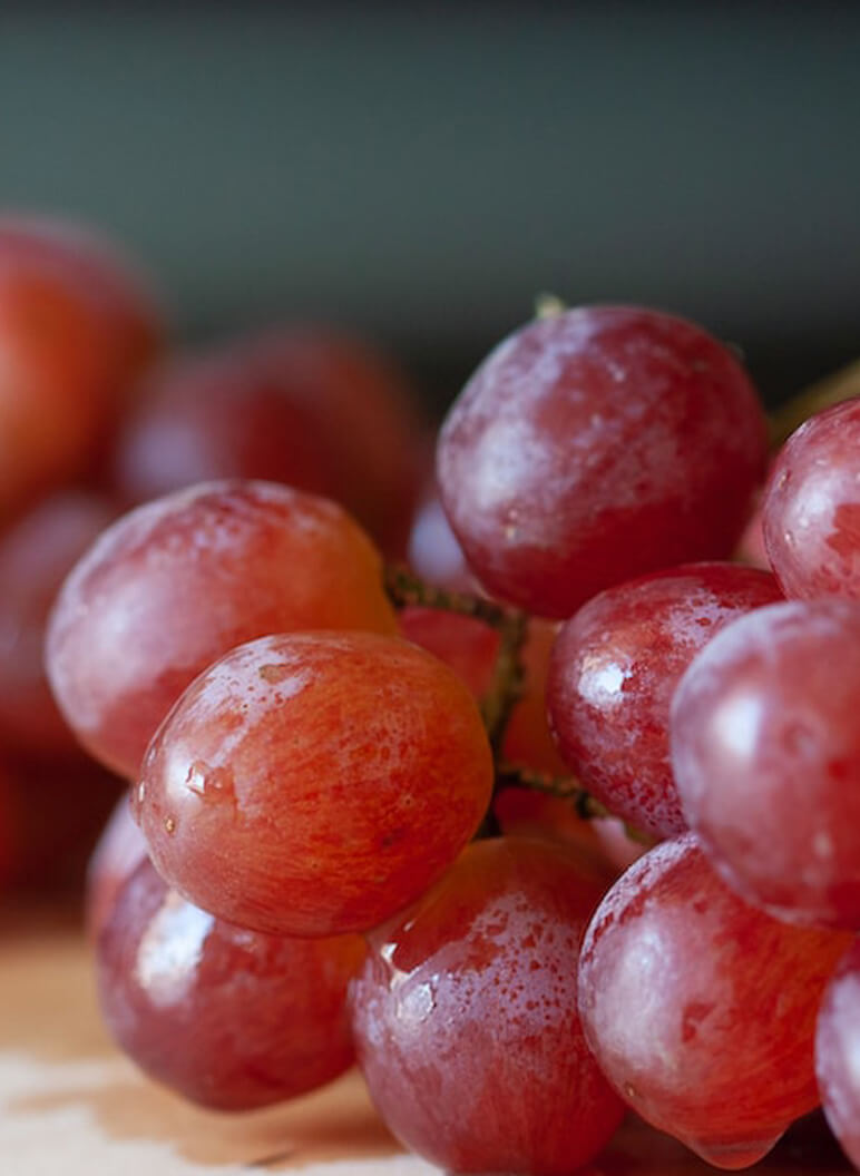 Technology - BioHarvest Sciences