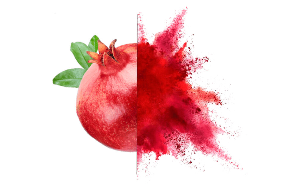 Nutraceuticals - BioHarvest Sciences