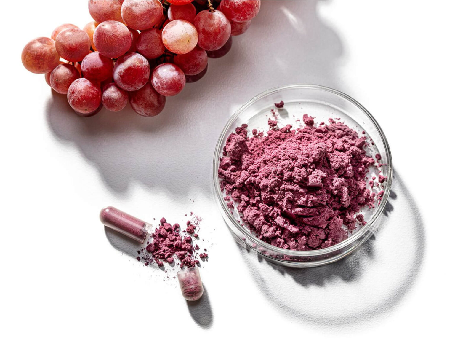 Home - BioHarvest Sciences