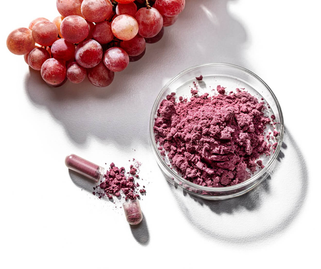 Contact - BioHarvest Sciences