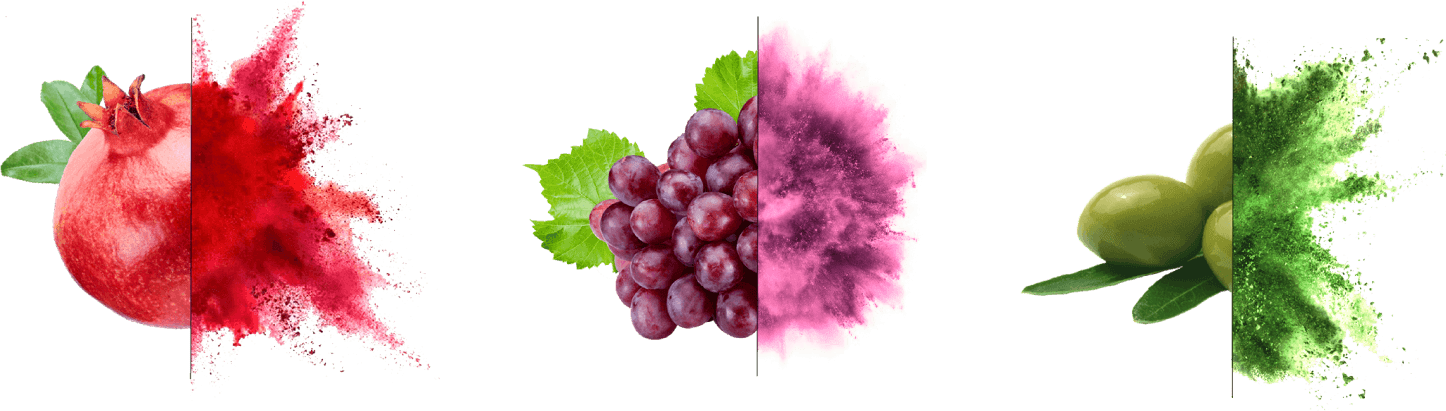 BioHarvest Unveils New Consumption Categories for its Flagship Product ...