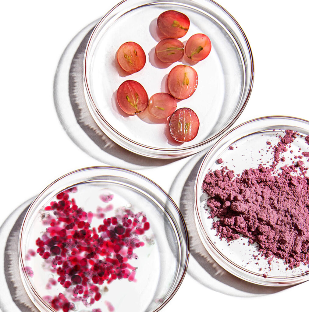 Home - BioHarvest Sciences