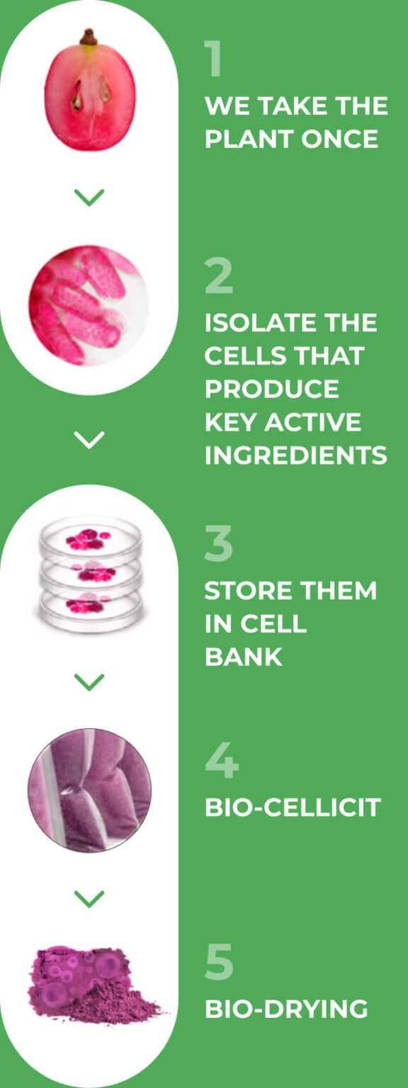 Technology - BioHarvest Sciences