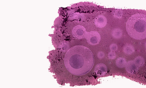 Technology - BioHarvest Sciences